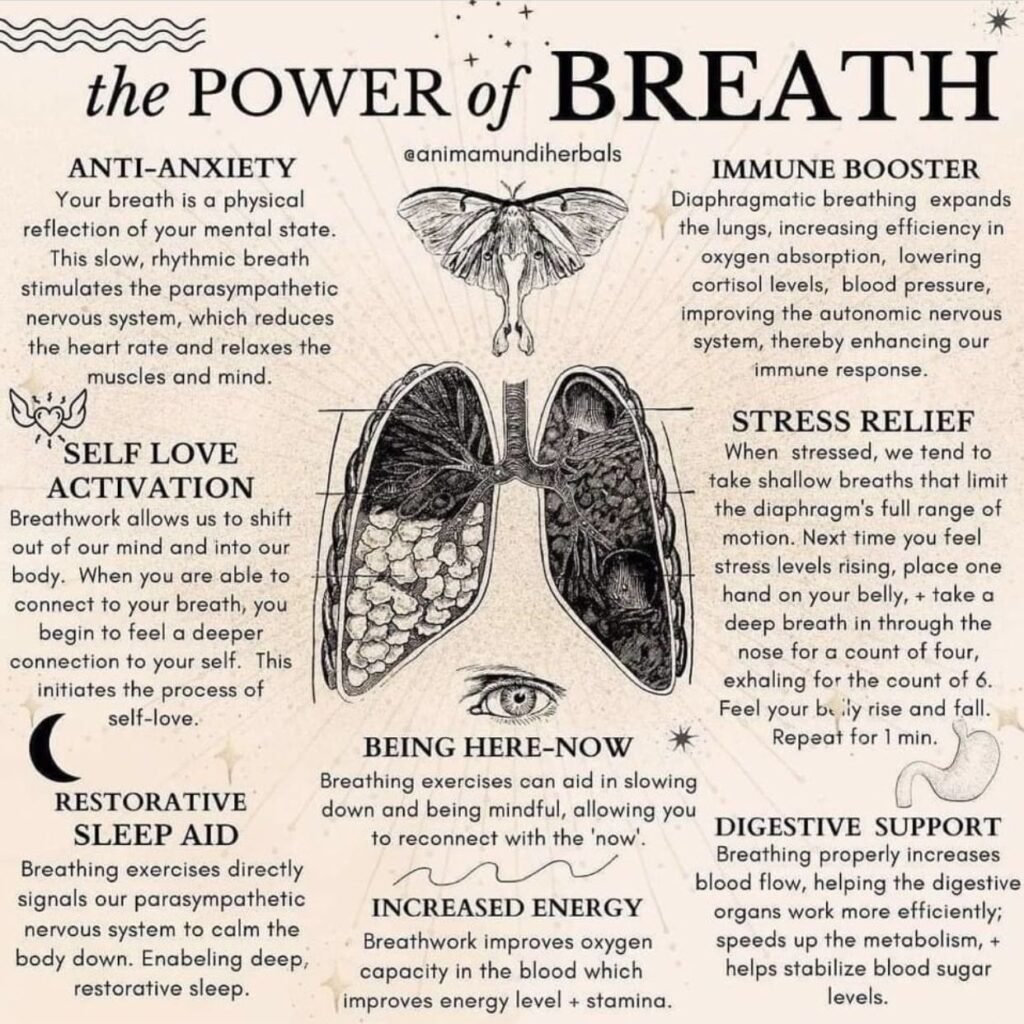 SPECIAL REPORT: TRANSFORMATIONAL BREATHING SERIES | Great Awakening Report